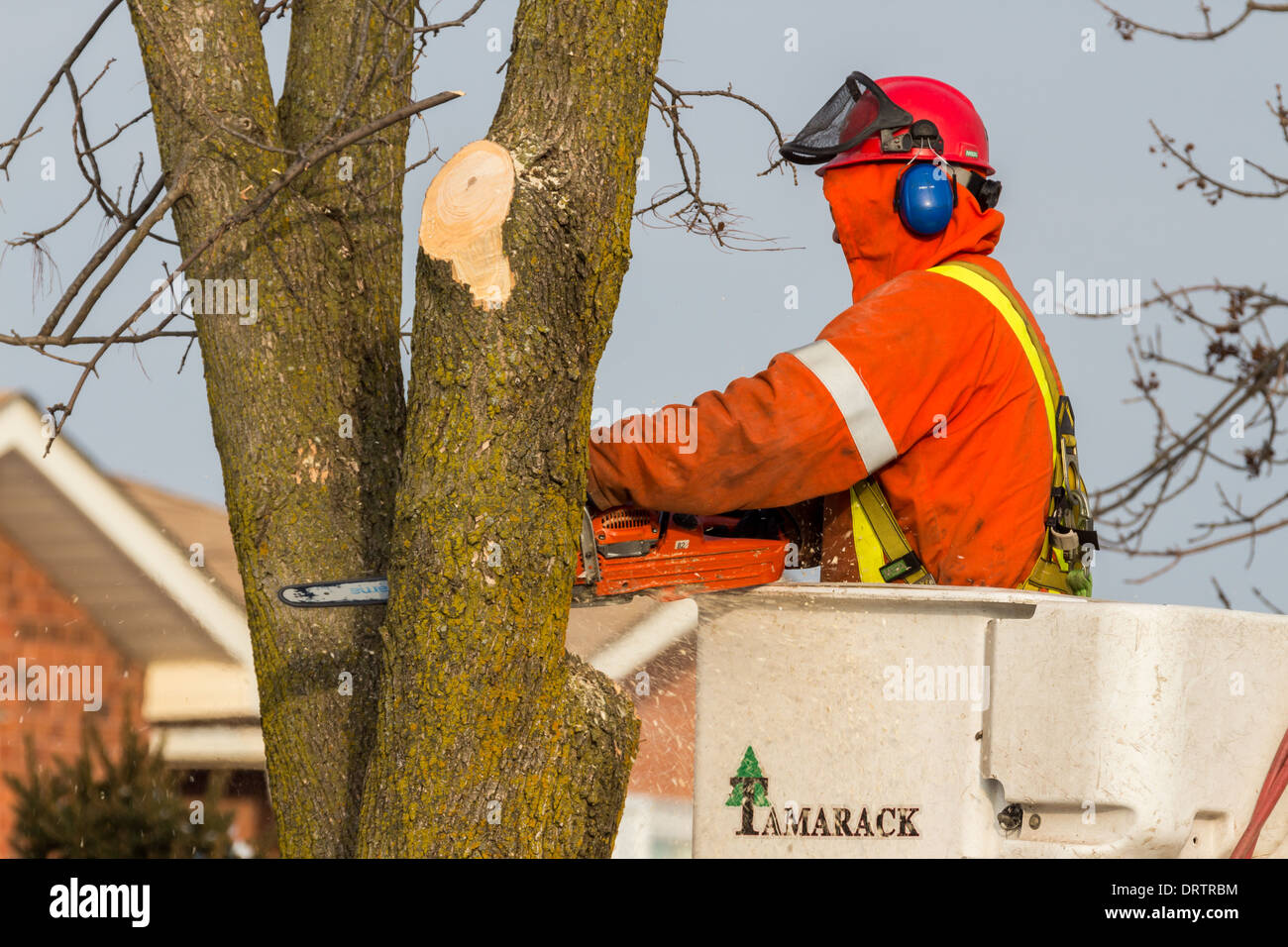 Worker bucket lift hi-res stock photography and images - Alamy