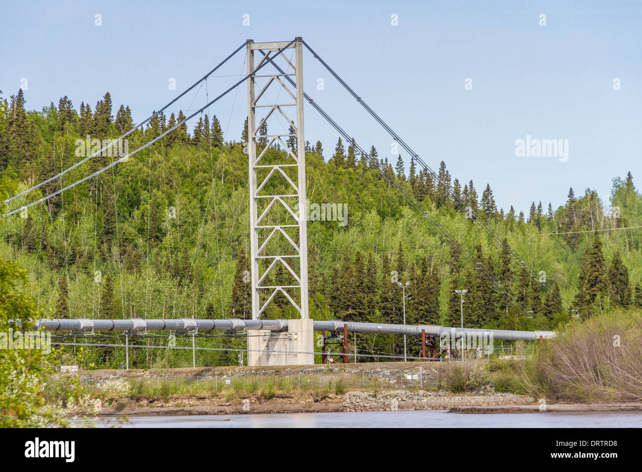 Alaska Pipeline elevated for river crossing near Fairbanks, Alaska ...