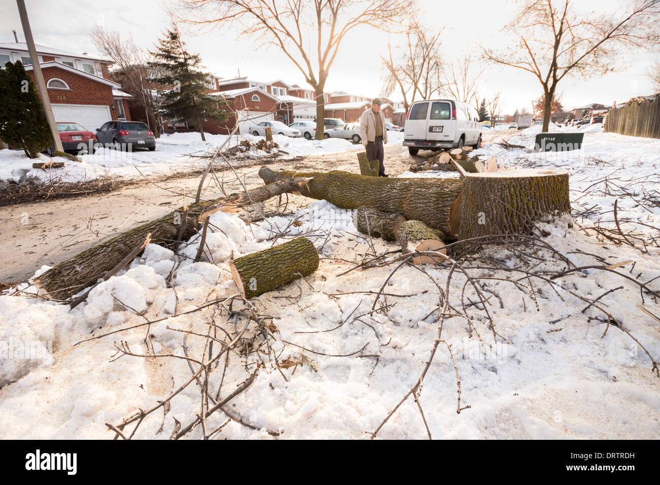 Forestry crews and residents remove tree debris after a crippling ice ...