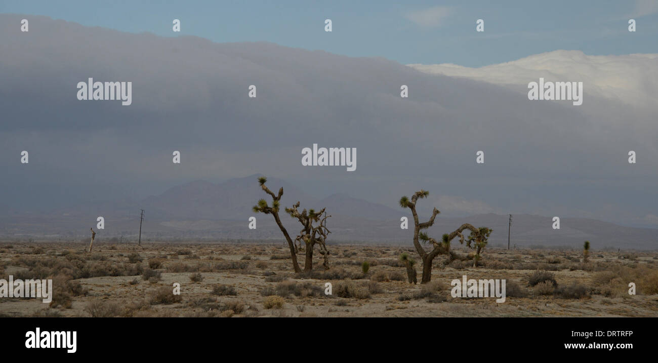Dust storm in mojave desert hi-res stock photography and images - Alamy