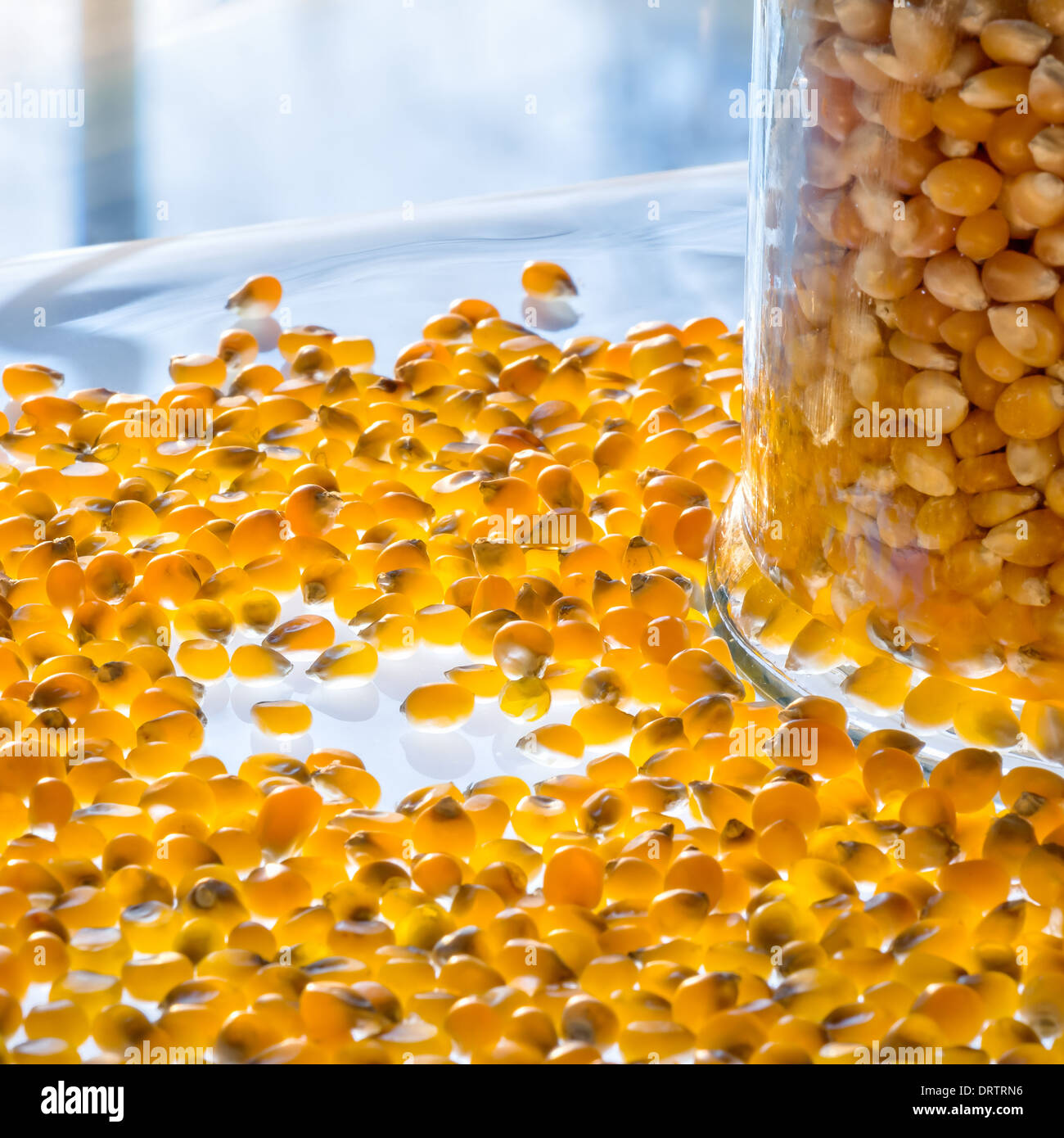 Popcorn with kernels hi-res stock photography and images - Alamy