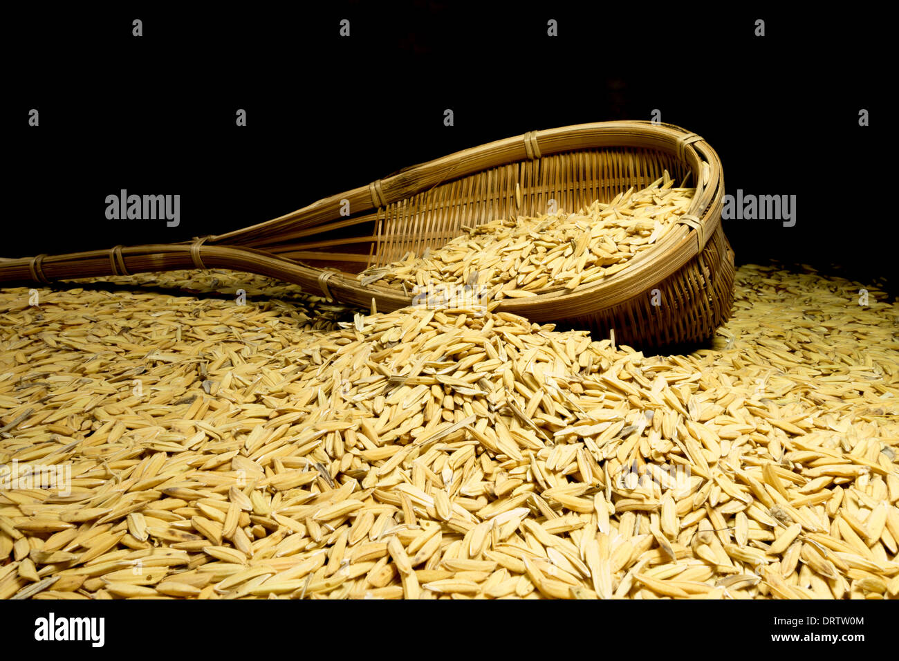 Freshly harvested seeds hi-res stock photography and images - Alamy