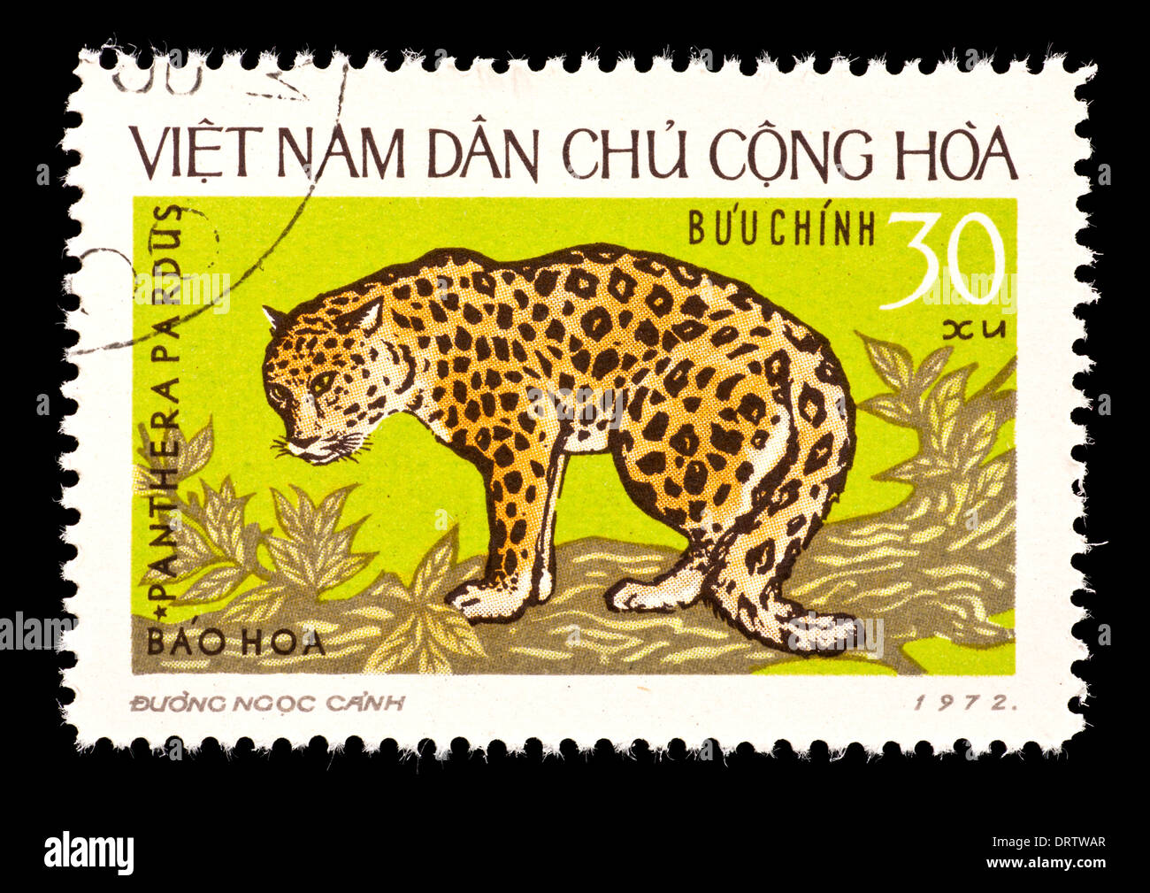 Postage stamp from Vietnam depicting a leopard (Panthera lepardus Stock ...