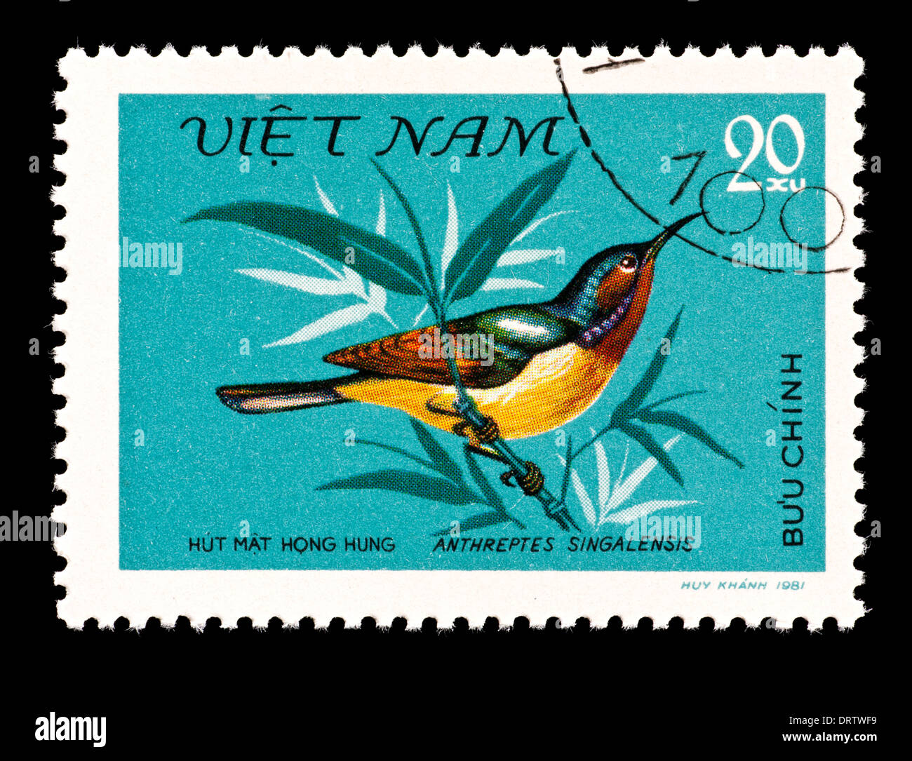 Postage stamp from Vietnam depicting Ruby-cheeked Sunbird (Chalcoparia ...