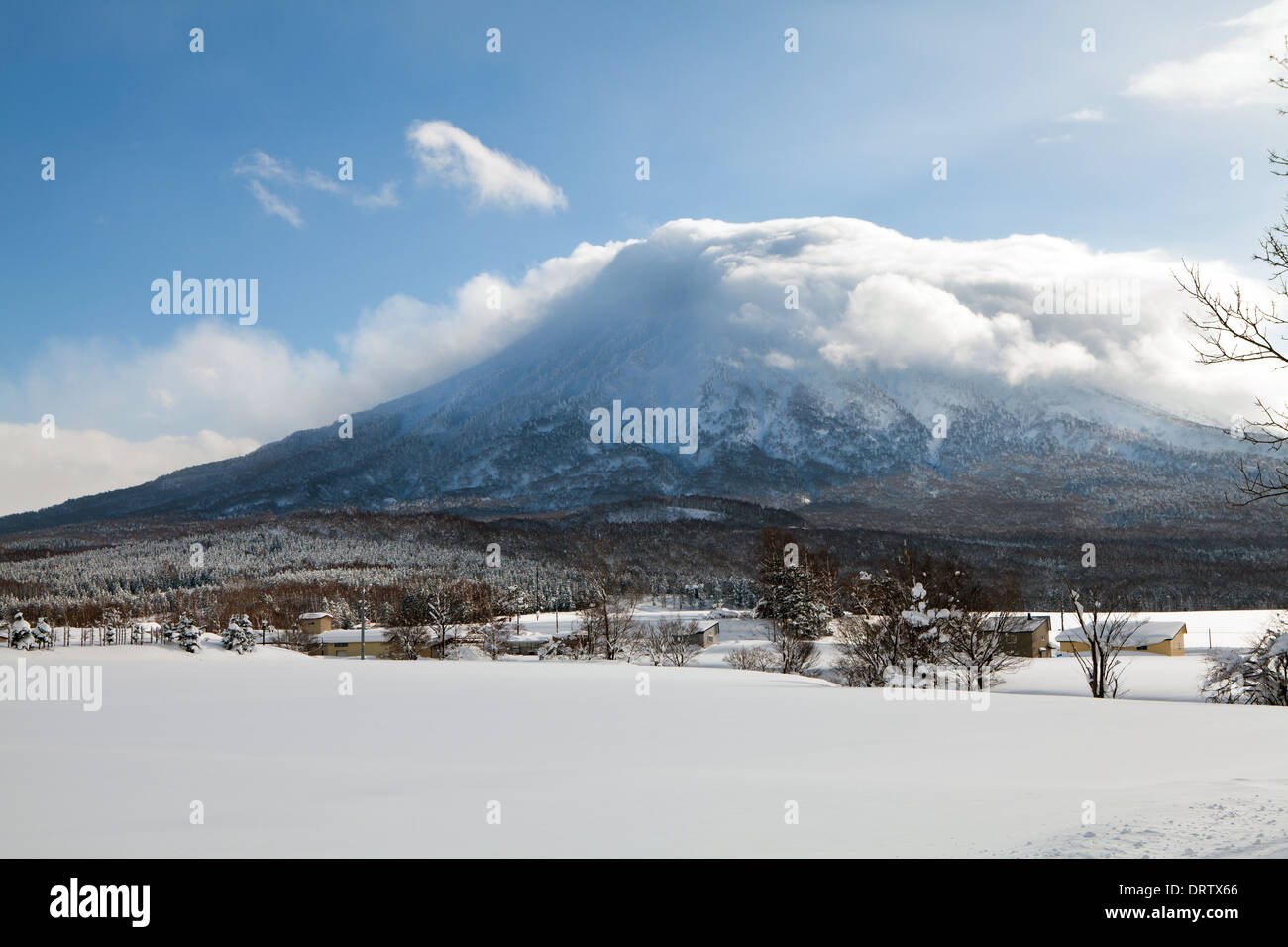 Winter scenes, Niseko, Japan Stock Photo - Alamy