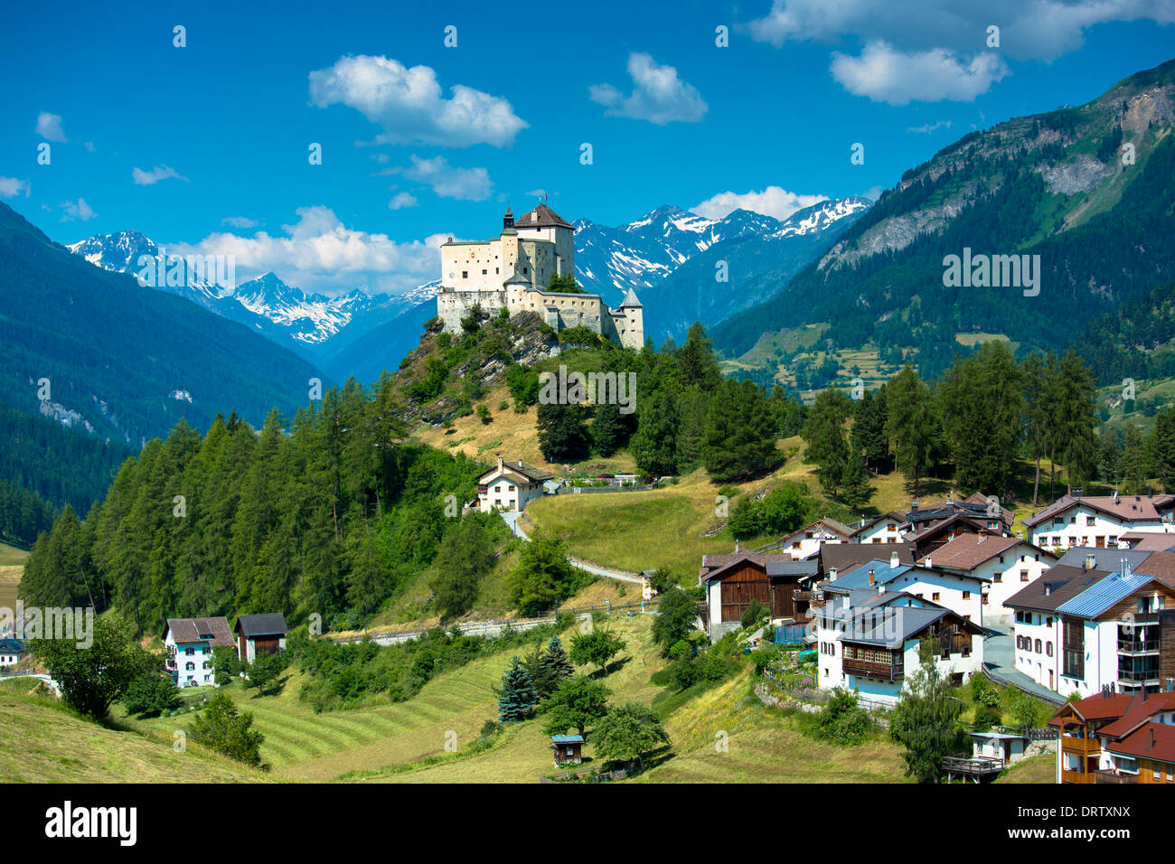 Tarasp Castle surrounded by larch and pine forest under cerulean sky in ...