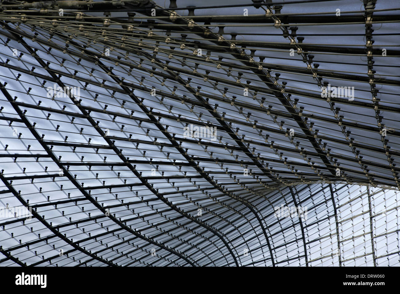 Twisting canopy hi-res stock photography and images - Alamy
