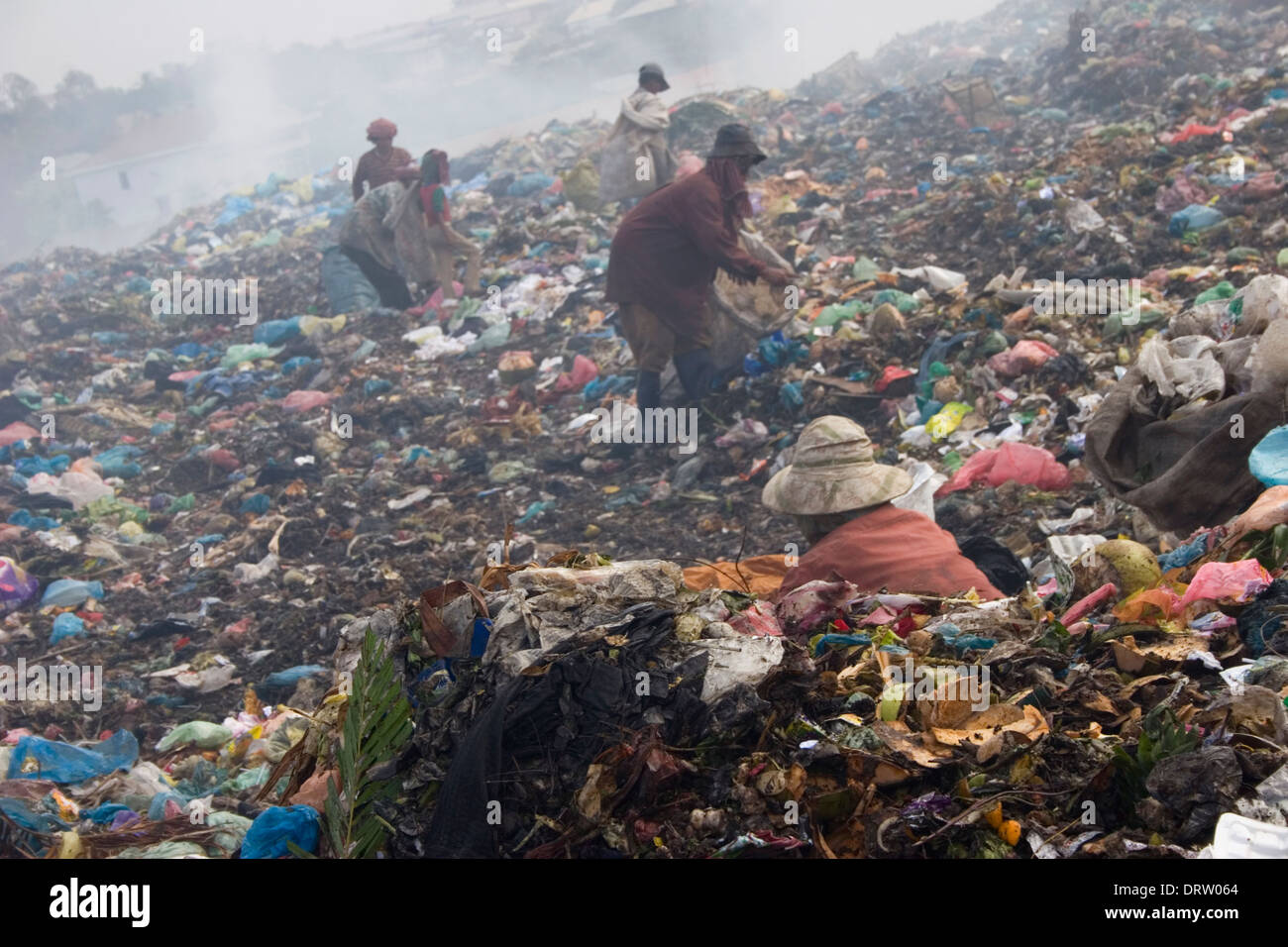 Plastic and rotting garbage provides the work environment for ...