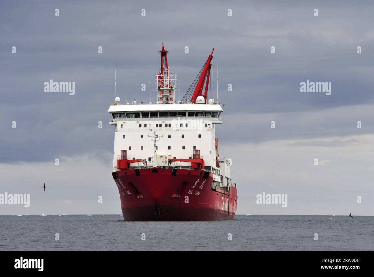 (140202) -- ABOARD XUELON , Feb. 2, 2014 (Xinhua) -- Chinese research ...