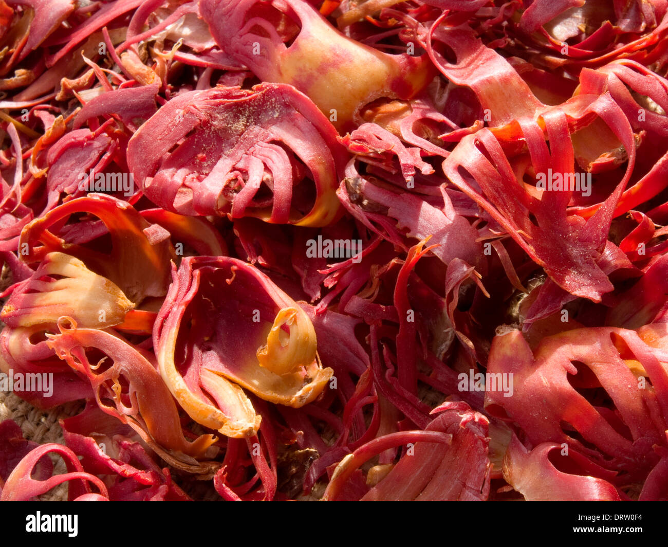 Coating dries hi-res stock photography and images - Alamy