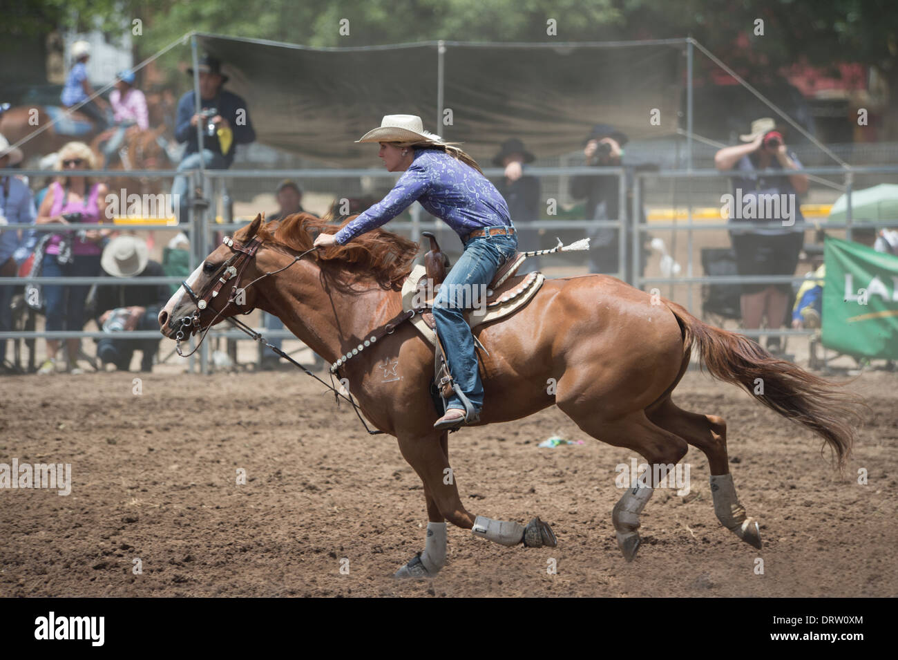 Australian rodeo hi-res stock photography and images - Alamy