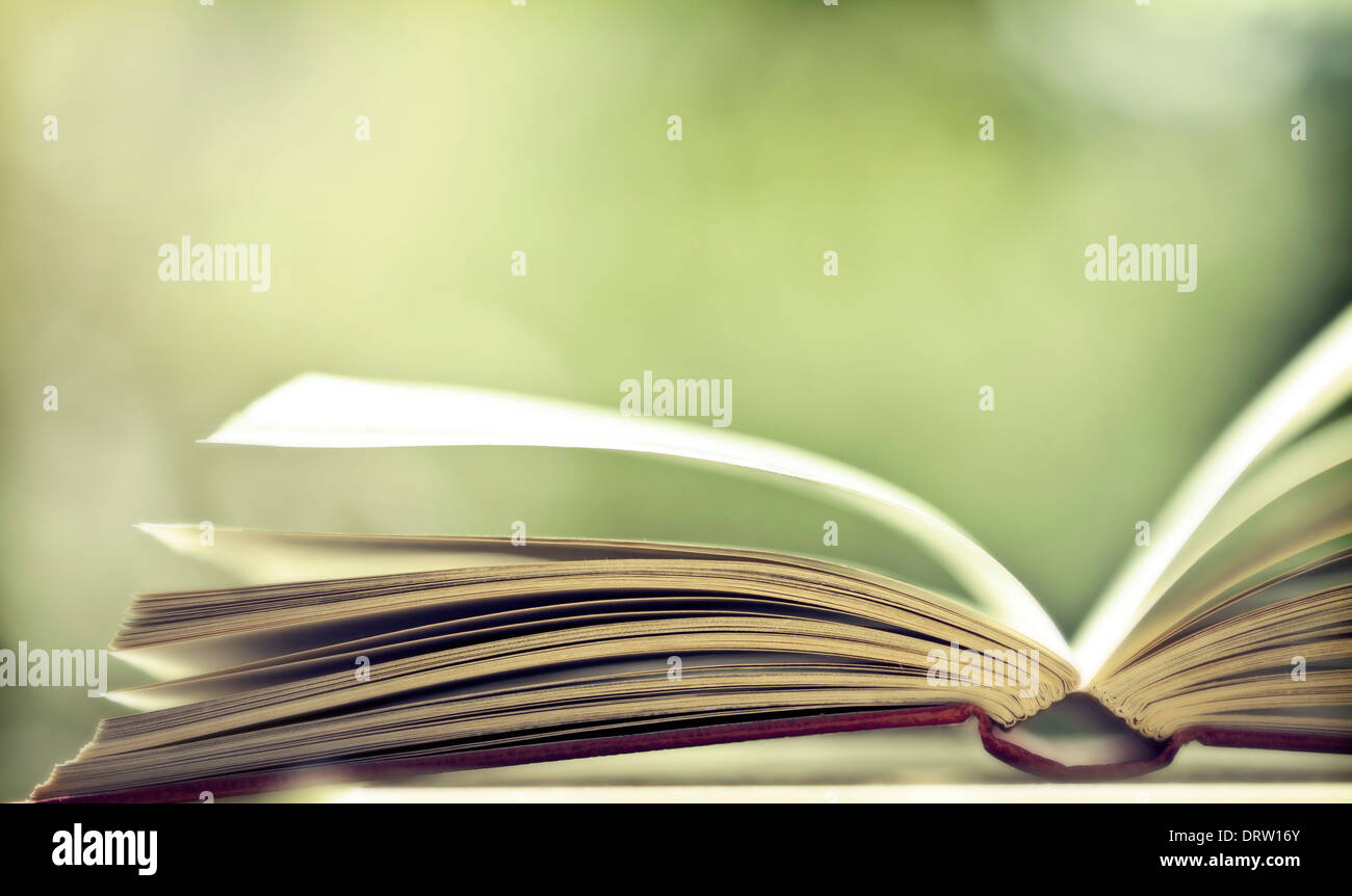 Close up on open book pages Stock Photo - Alamy