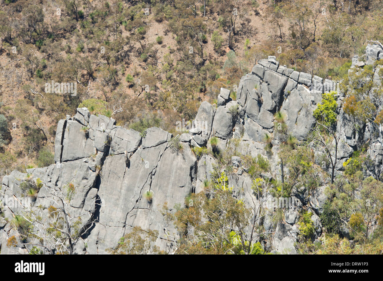 Bungonia national park hi-res stock photography and images - Alamy