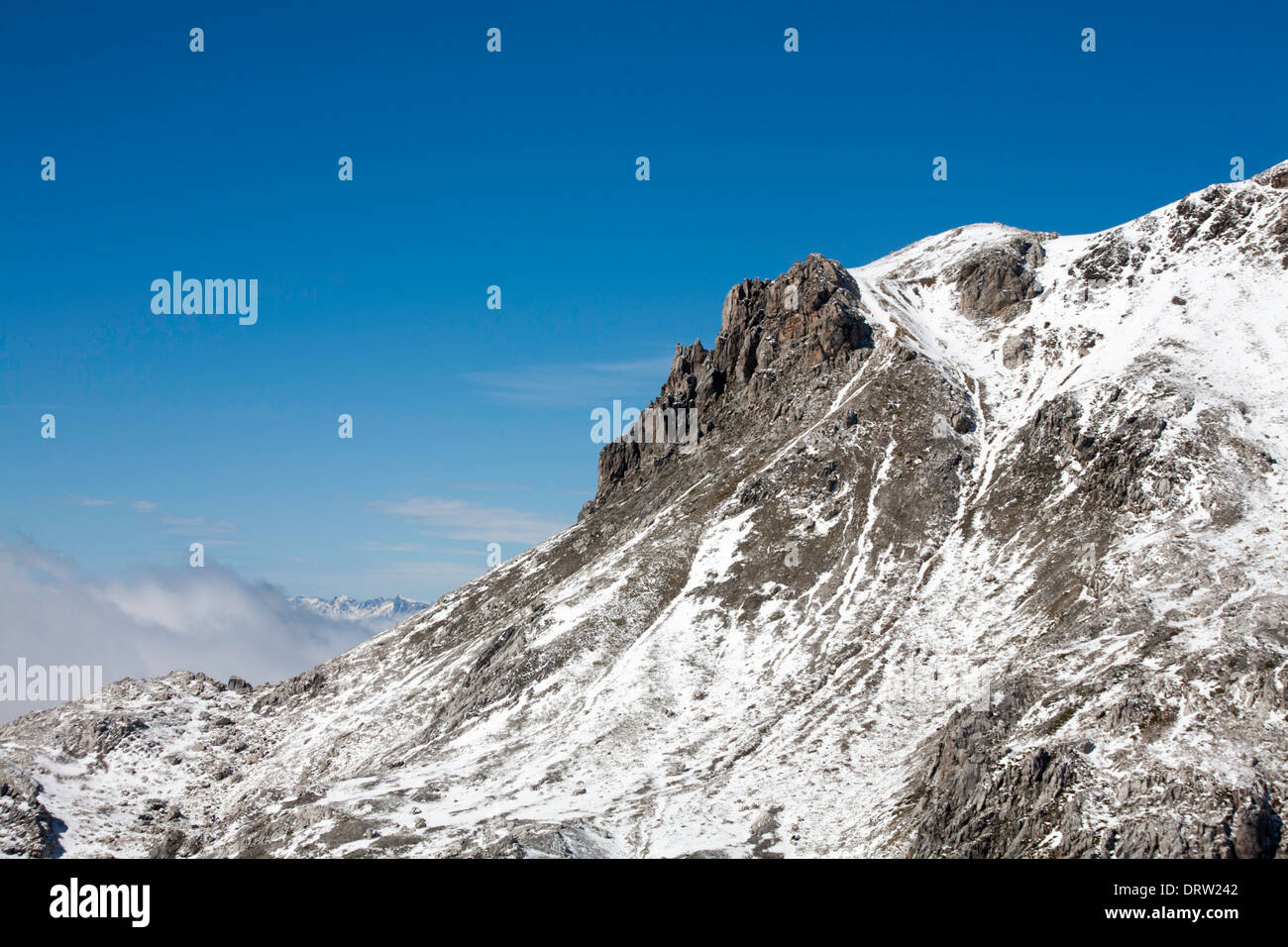Haupter High Resolution Stock Photography and Images - Alamy