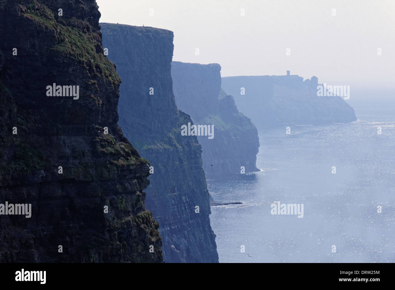 The cliffs of Moher in County Clare Ireland Stock Photo - Alamy