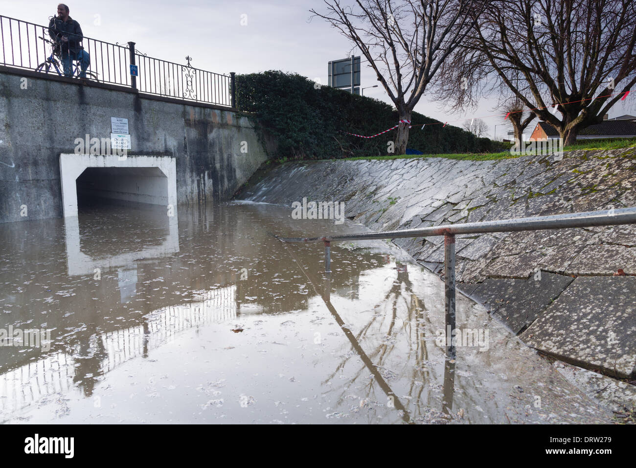 Somerset, UK. 2nd Feb 2014. Flooding in Blake Gardens, Bridgwater, as ...