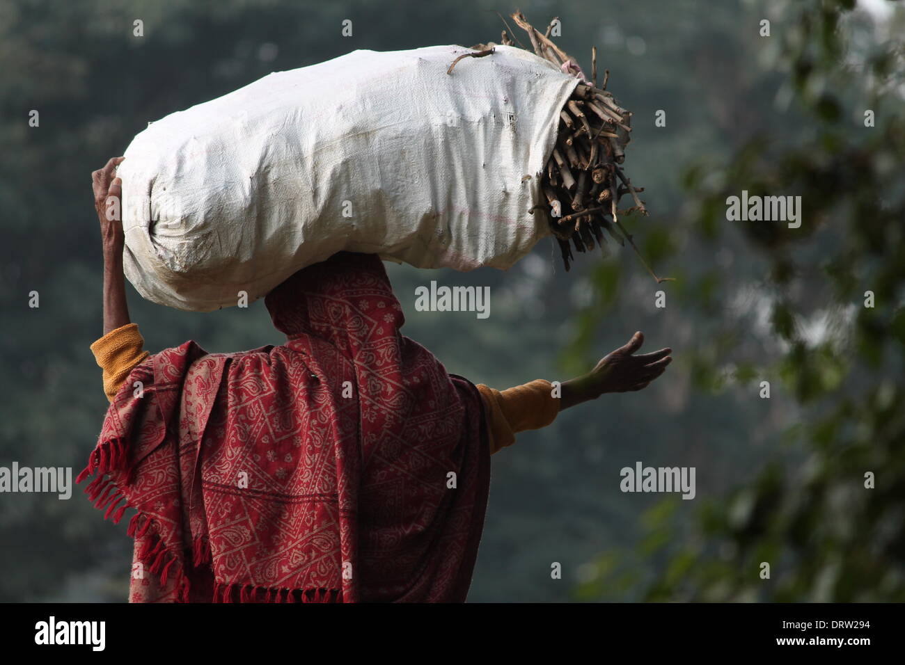 Poor old woman hi-res stock photography and images - Alamy