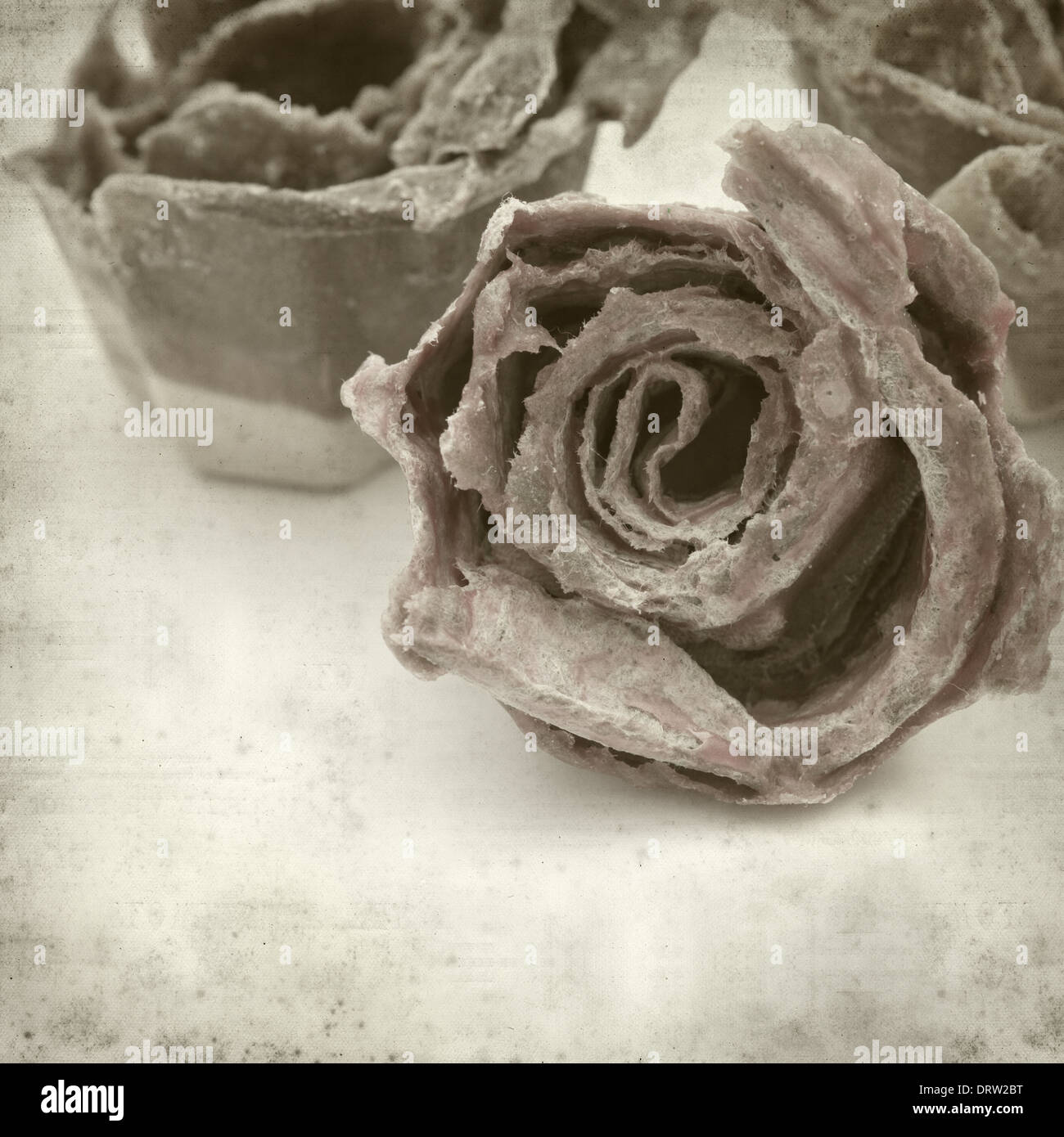 textured old paper background with rose kindling Stock Photo - Alamy