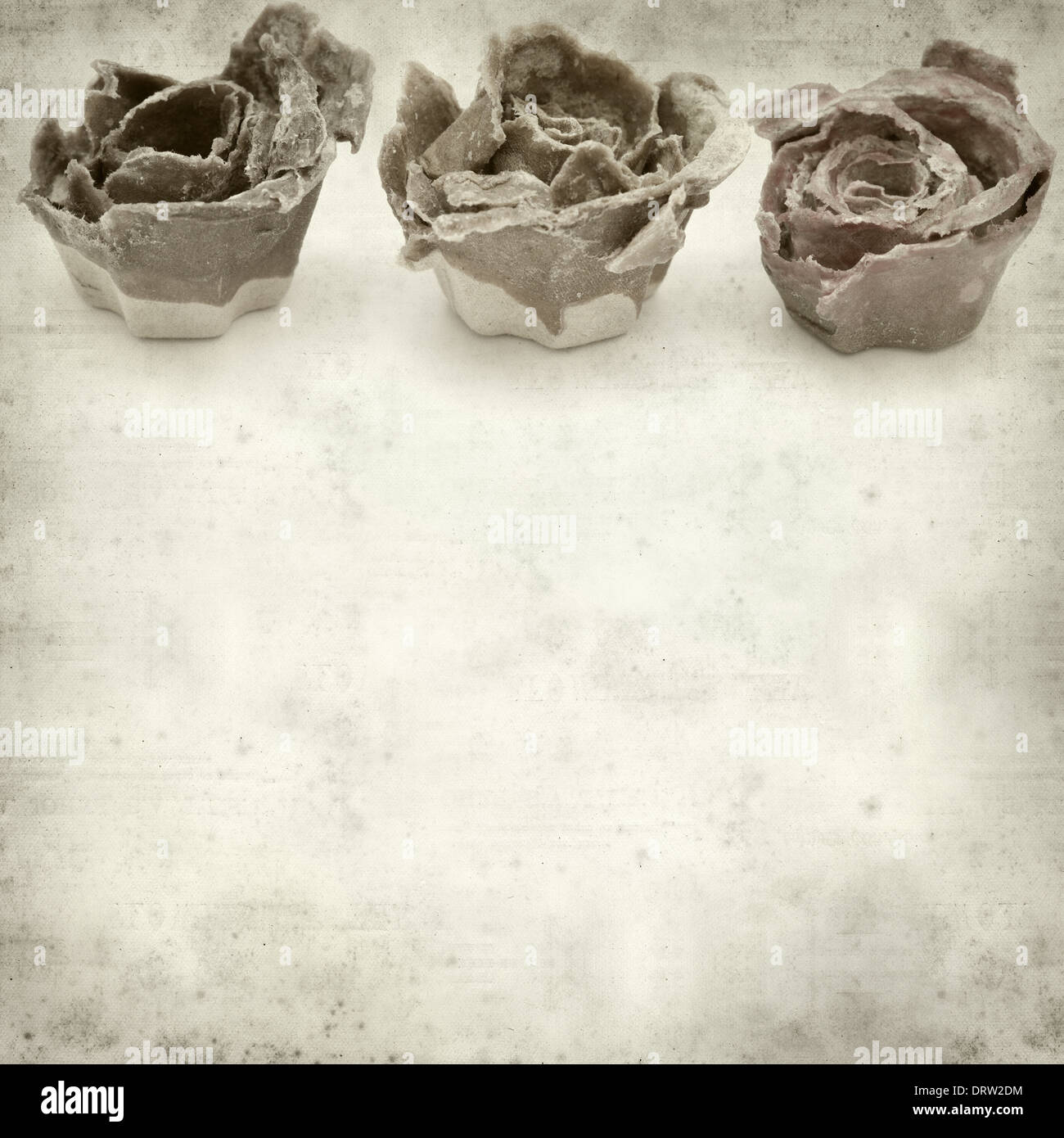 textured old paper background with rose kindling Stock Photo - Alamy