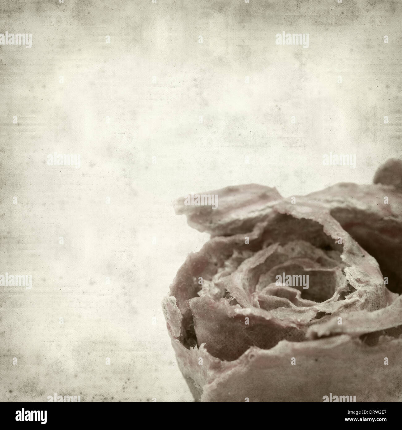 textured old paper background with rose kindling Stock Photo - Alamy