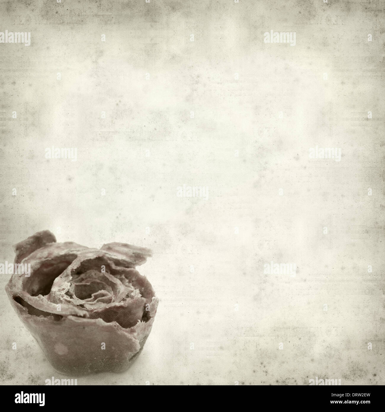 textured old paper background with rose kindling Stock Photo - Alamy