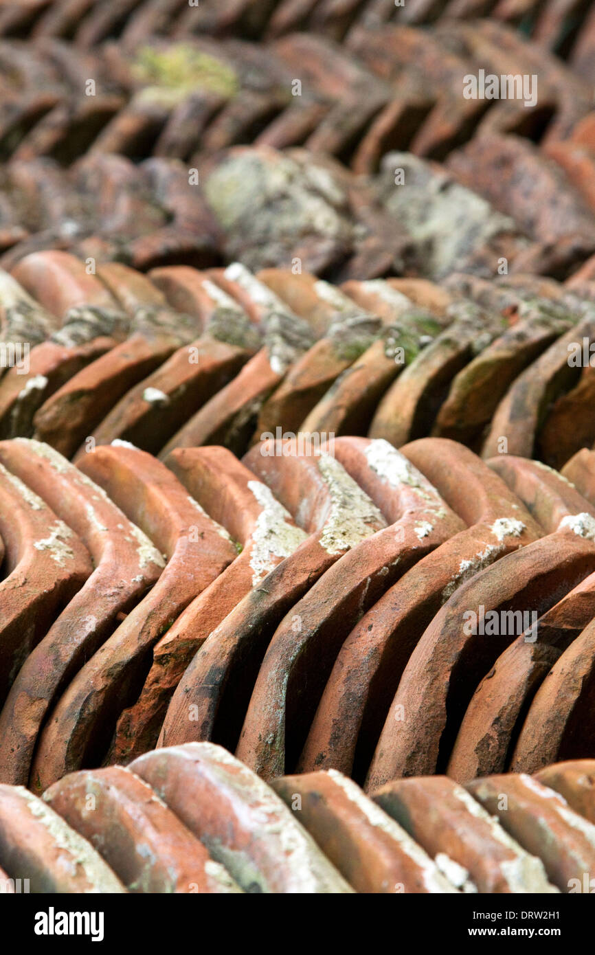 Rows of reclaimed terracotta pantiles Stock Photo - Alamy