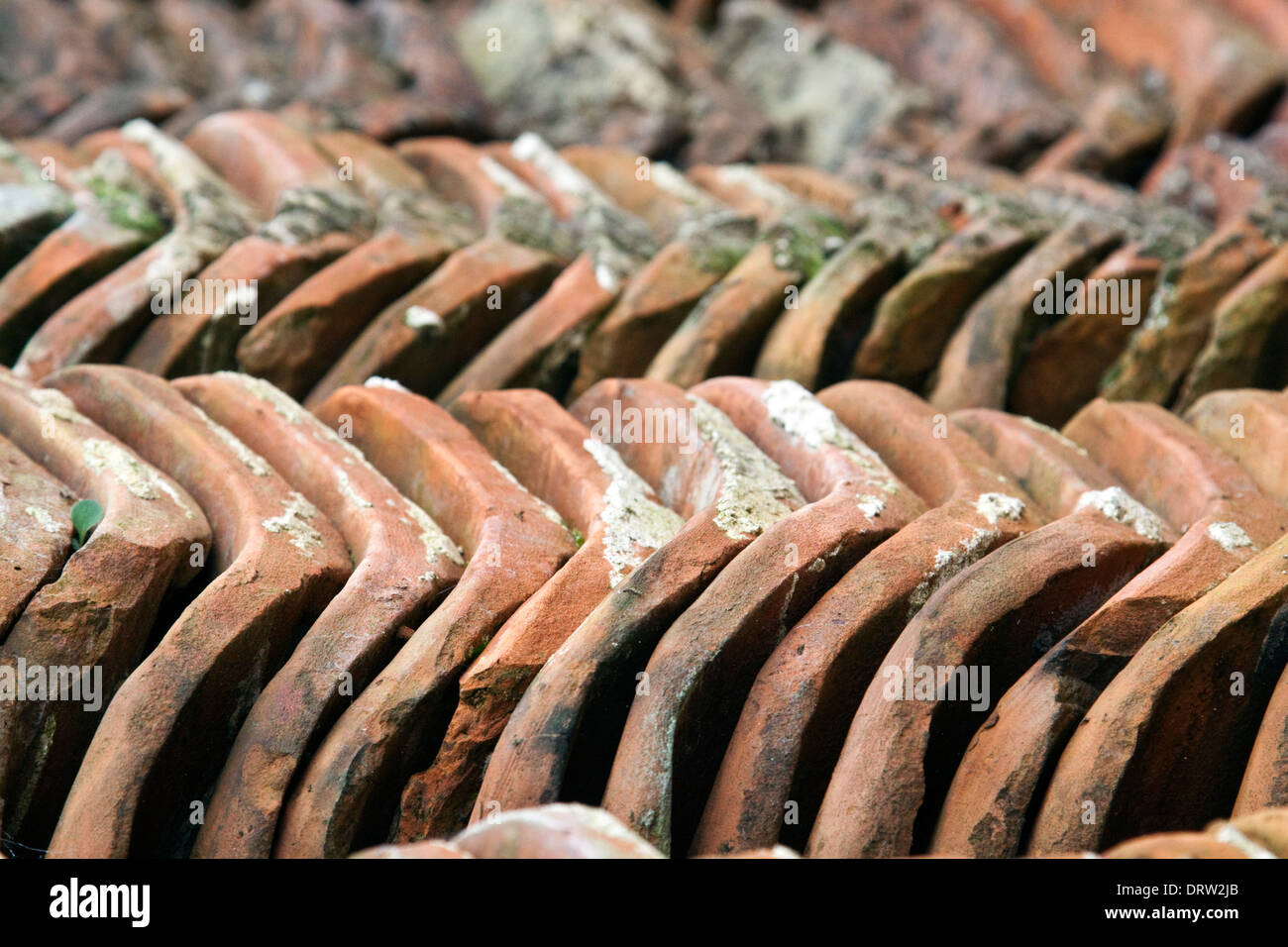 Rows of reclaimed terracotta pantiles Stock Photo - Alamy