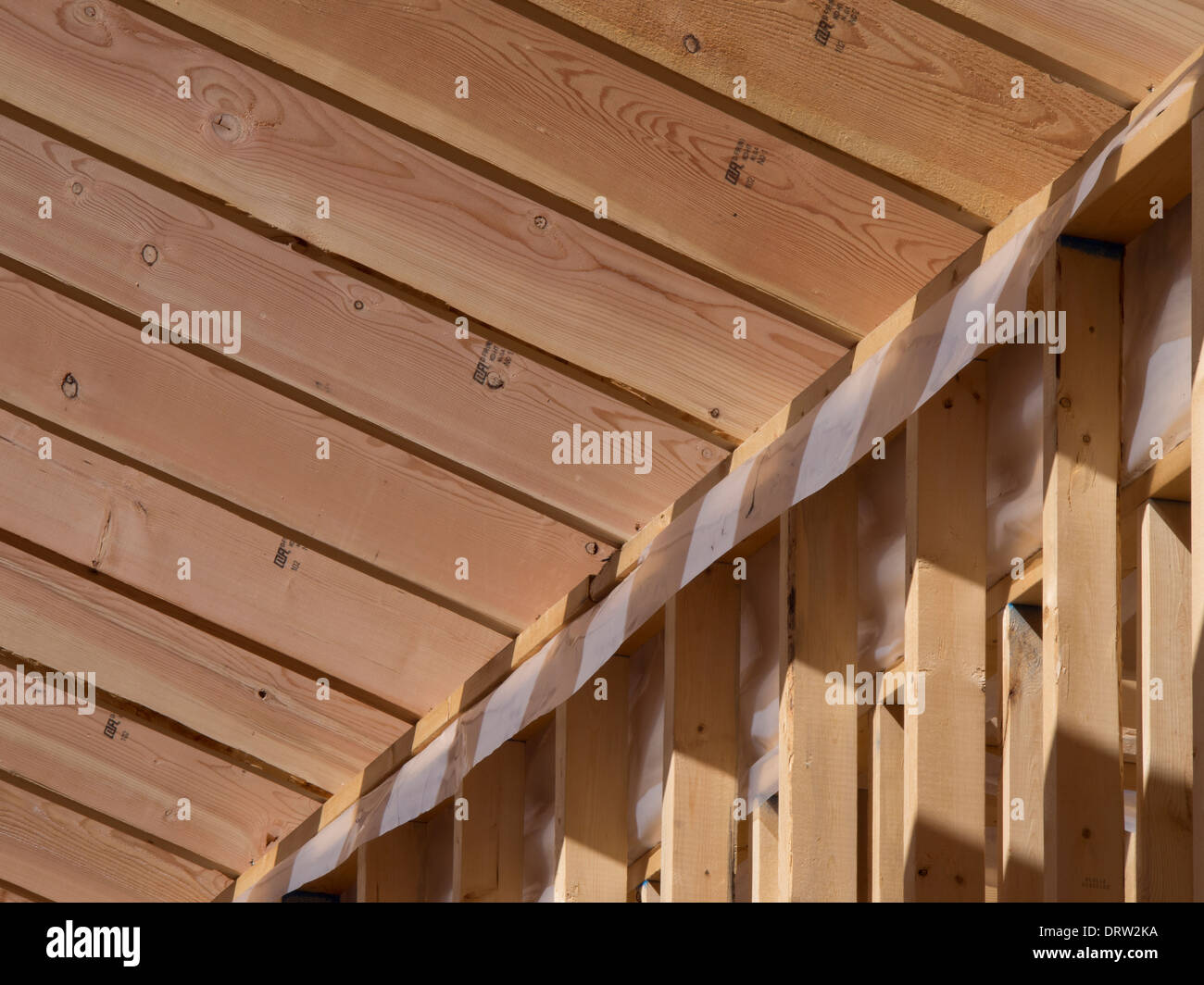 Timber stud wall hi-res stock photography and images - Alamy