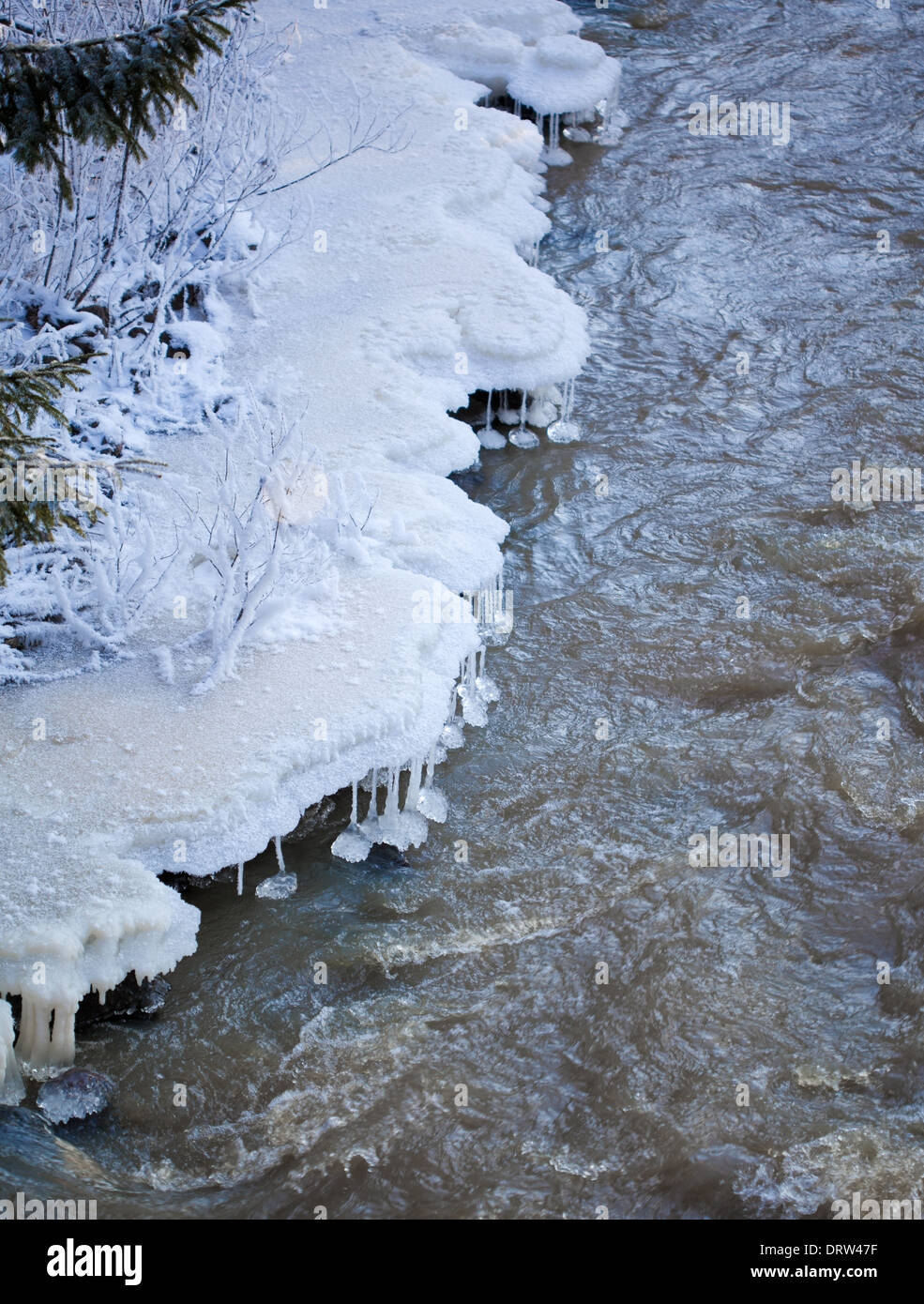 freezing river - ice is forming over the running water, phase boundary ...