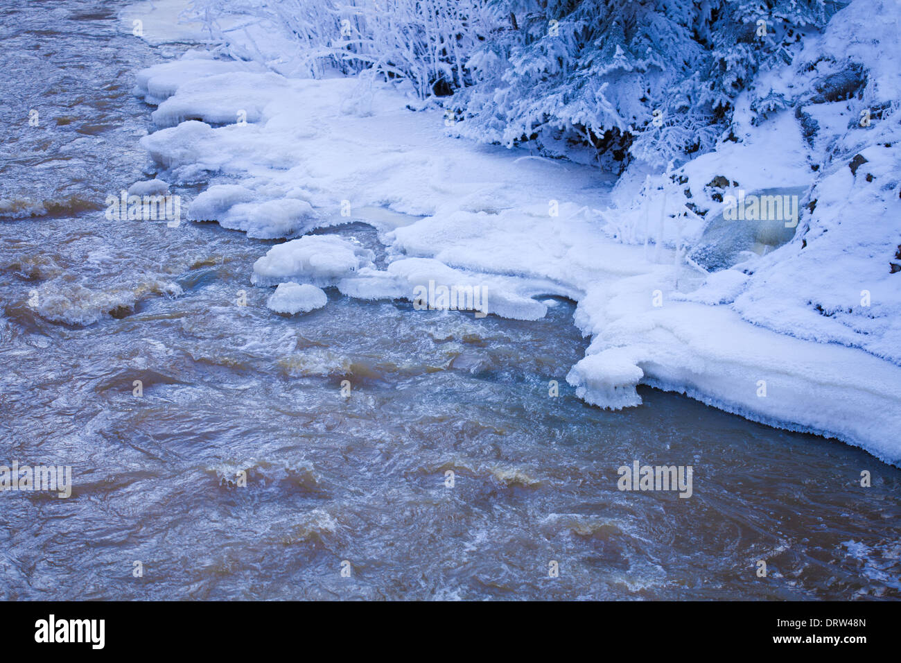 freezing river - ice is forming over the running water, phase boundary ...