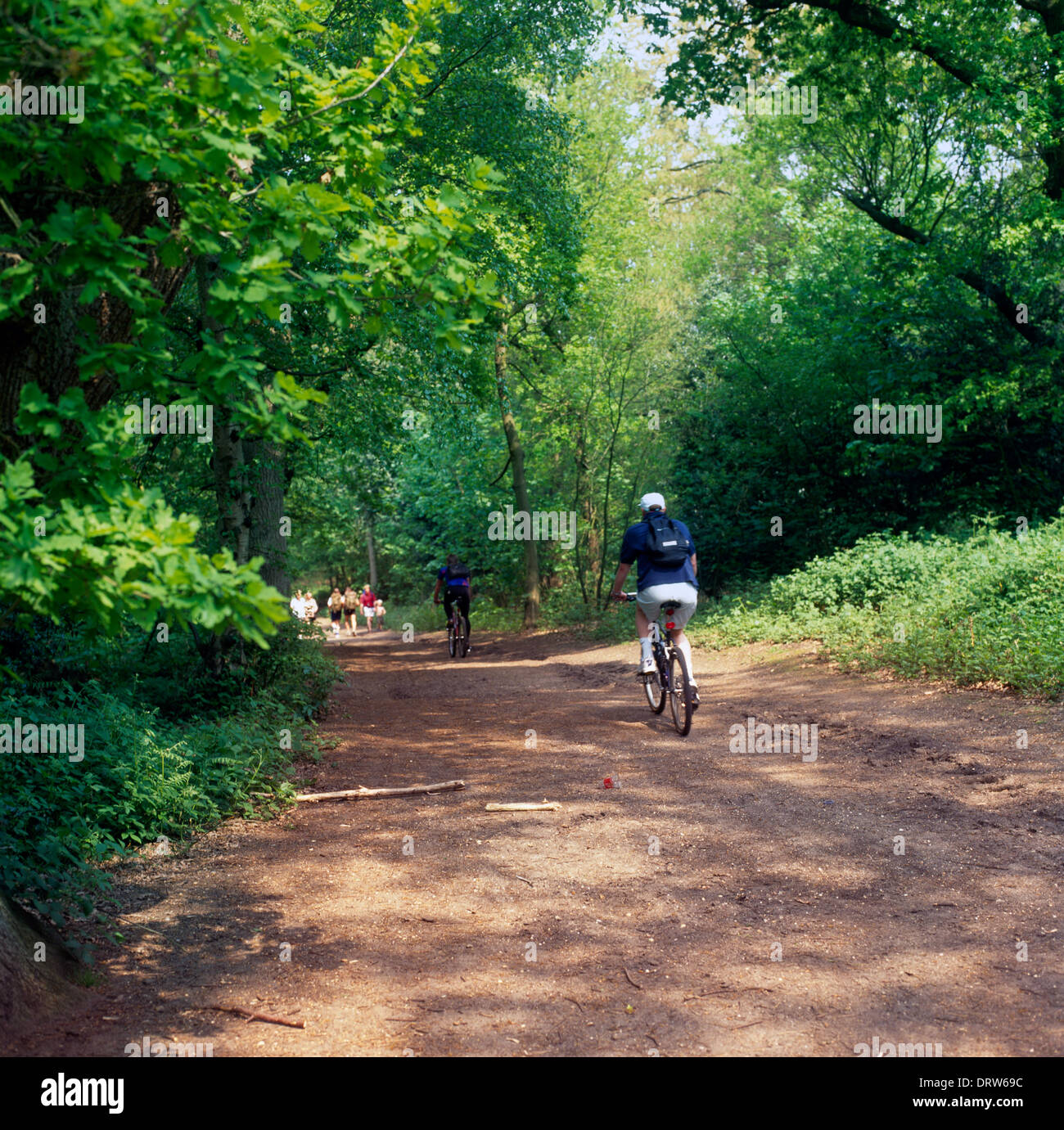Richmond park cycling hi-res stock photography and images - Alamy