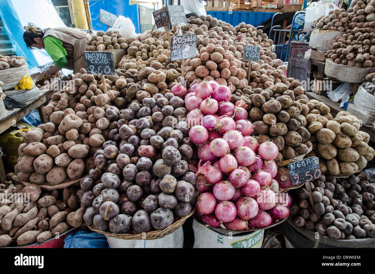 The Market of San Camilo in Arequipa city Stock Photo - Alamy
