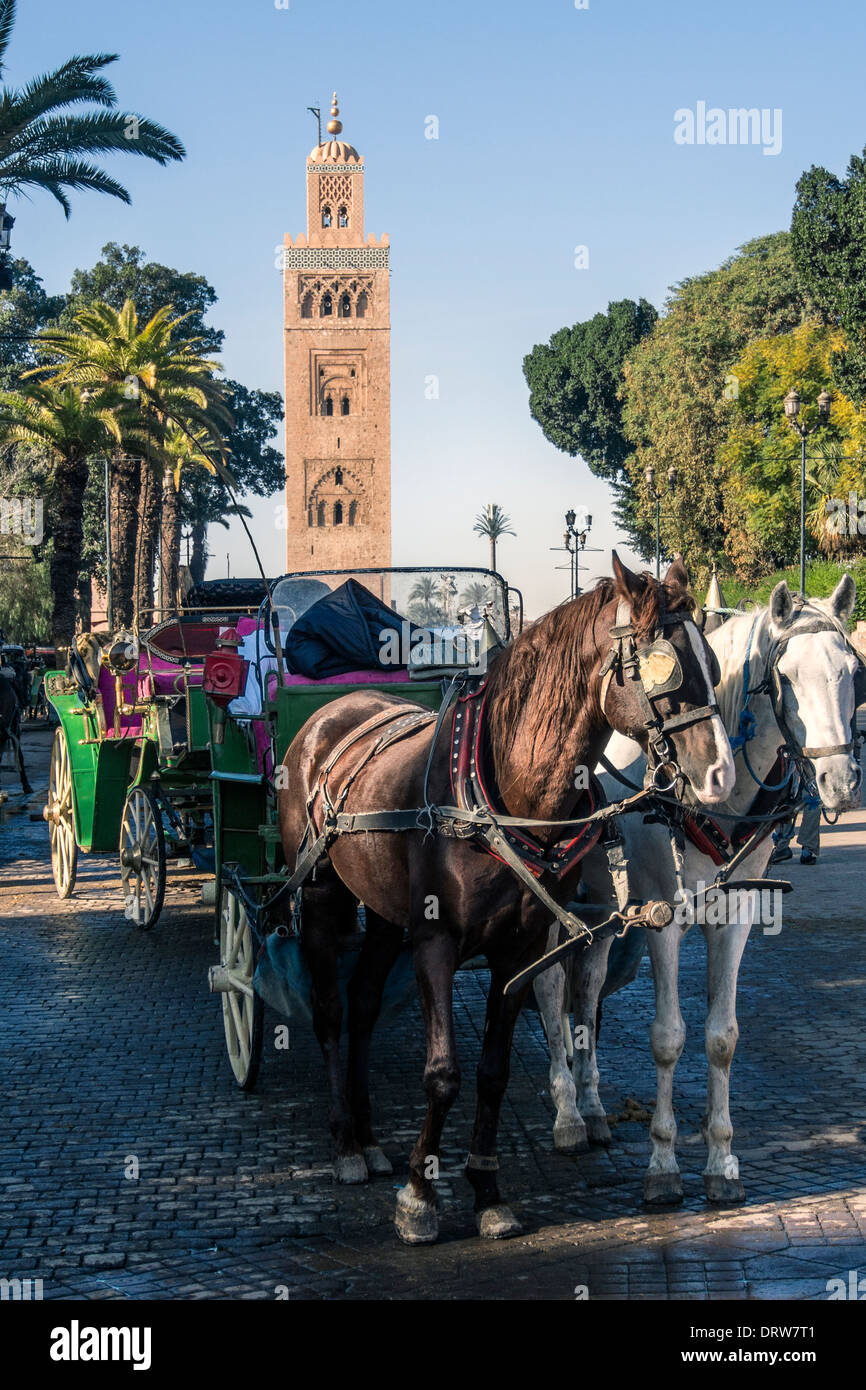 Horse drawn carriage and mosque hi-res stock photography and images - Alamy