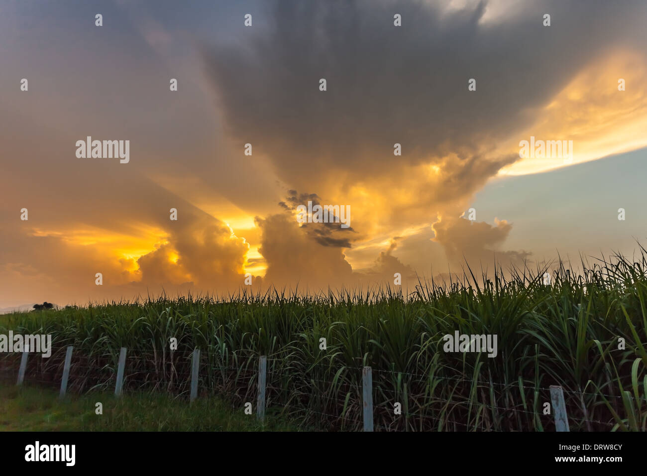 an dramatic clouds over the field Stock Photo - Alamy
