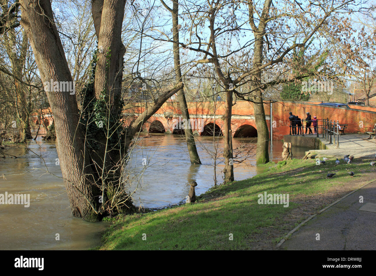 River mole leatherhead surrey england hi-res stock photography and ...