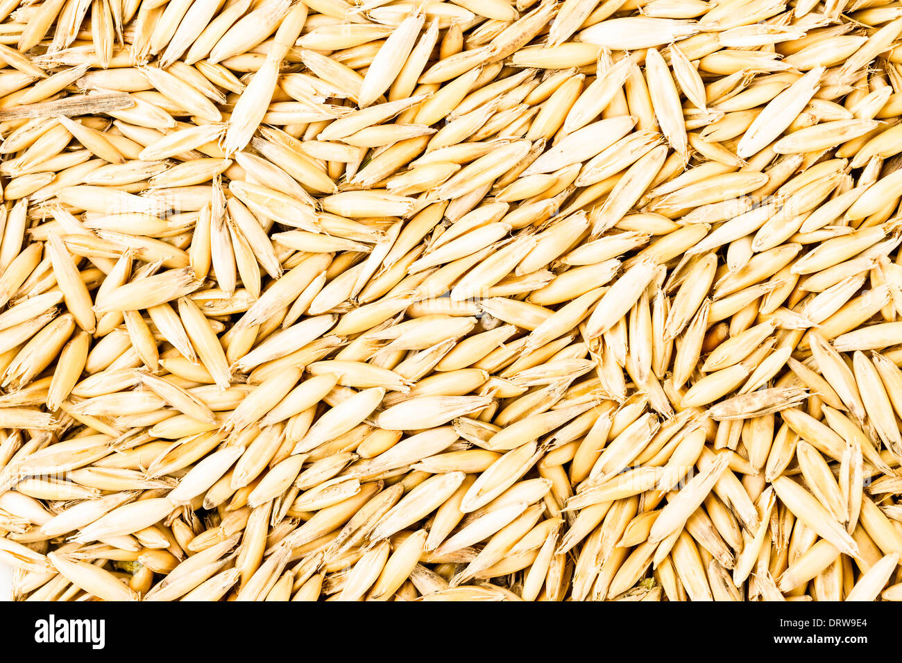 background from rye seeds Stock Photo - Alamy
