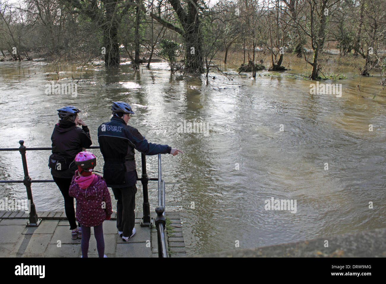 Leatherhead bridge river mole surrey hi-res stock photography and ...