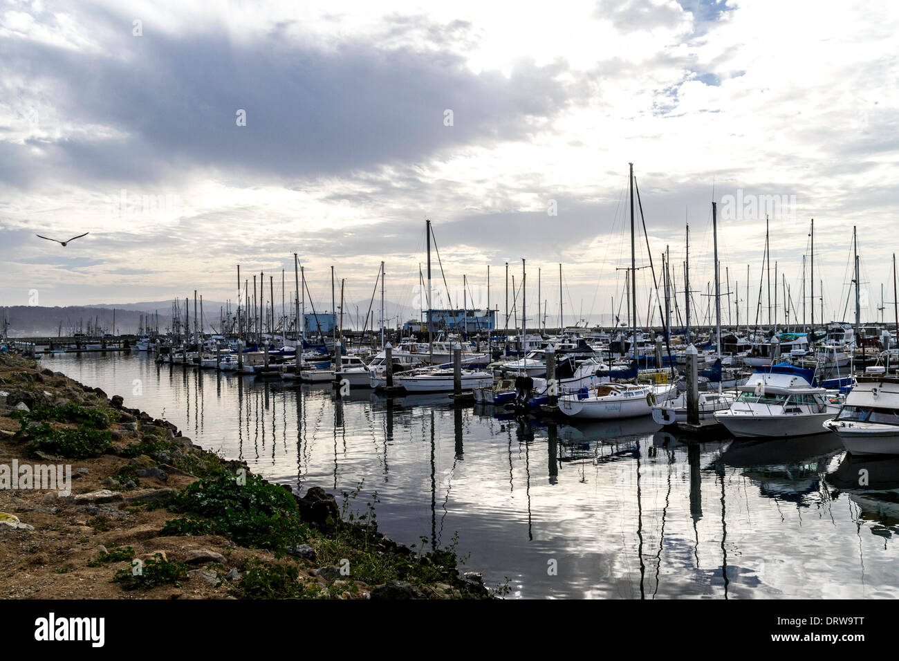 Maverick invitational hi-res stock photography and images - Alamy