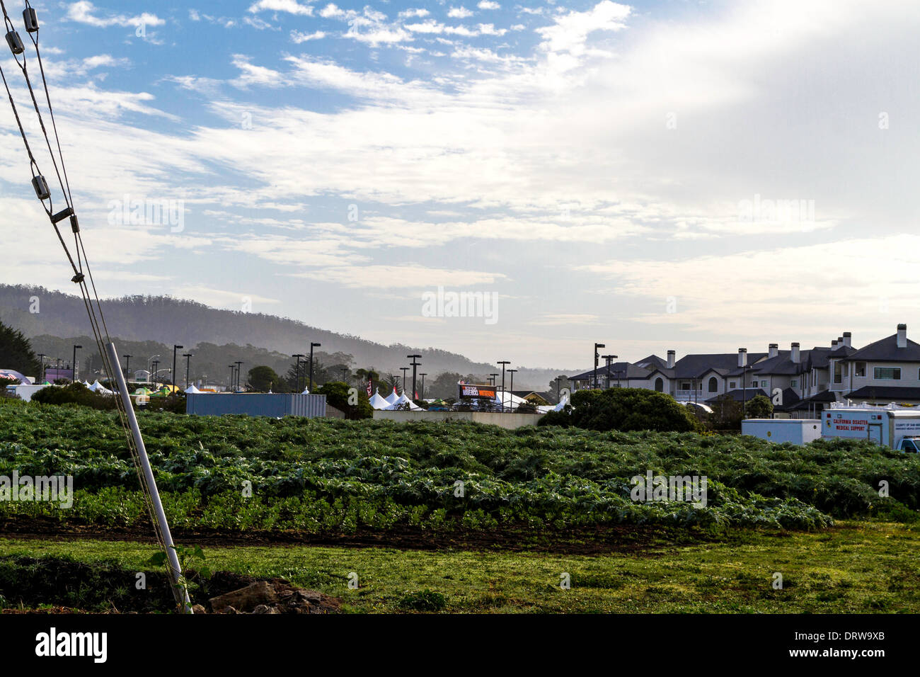 Maverick invitational hi-res stock photography and images - Alamy