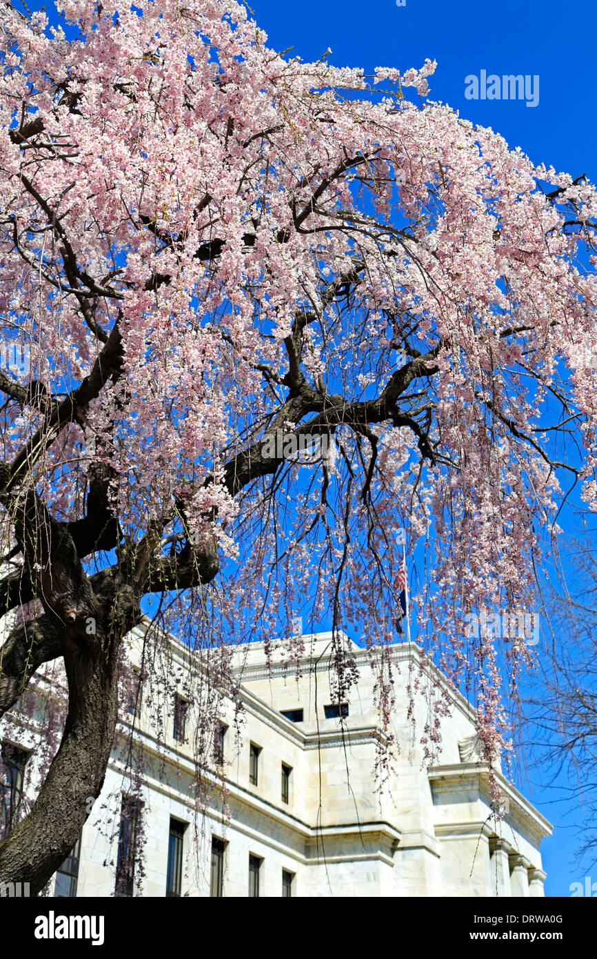 Marriner s eccles building in dc hi-res stock photography and images ...