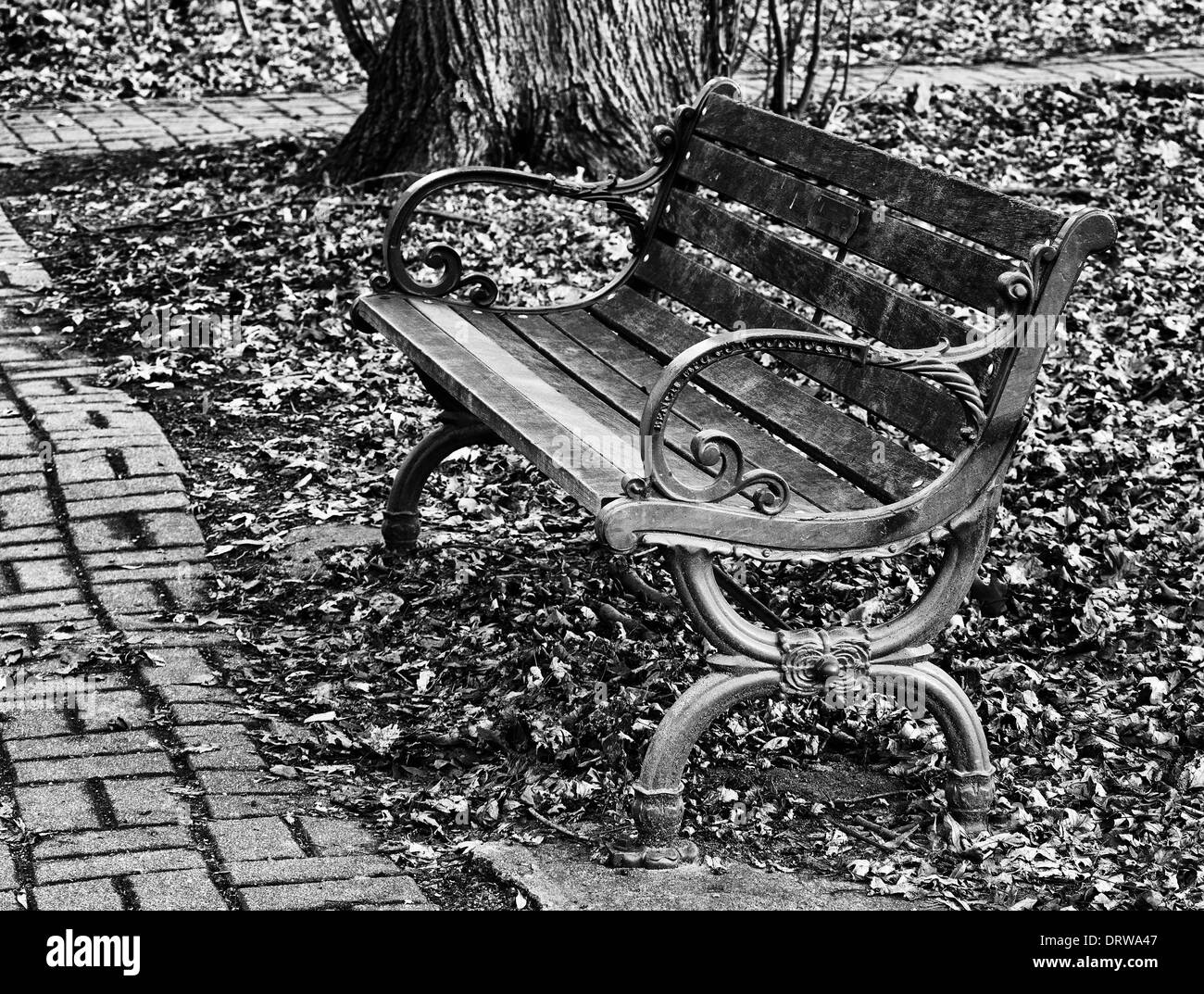 Park bench atmosphere hi-res stock photography and images - Alamy
