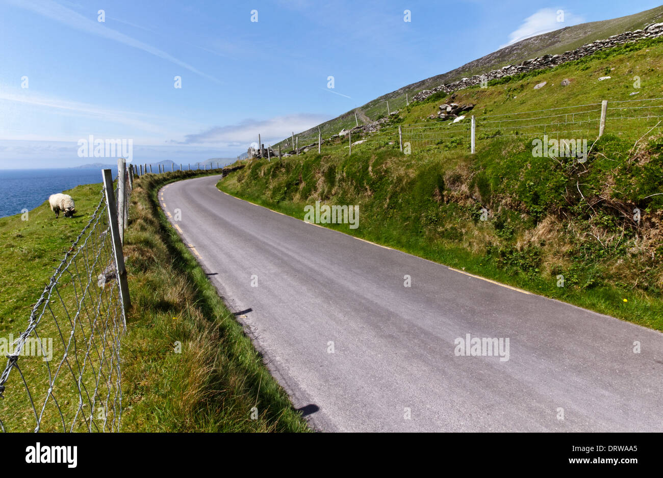 Dingle road hi-res stock photography and images - Alamy