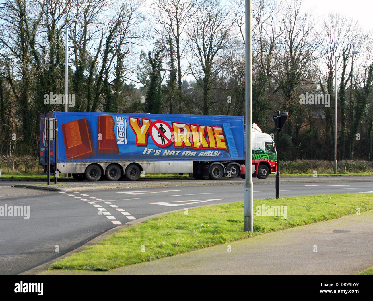 Yorkie and chocolate hi-res stock photography and images - Alamy