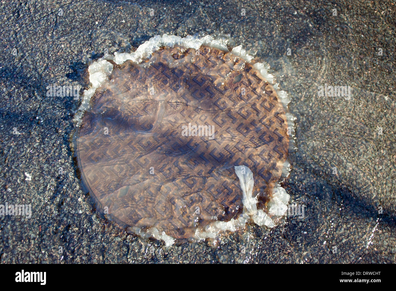 Water flooding manhole hi-res stock photography and images - Alamy