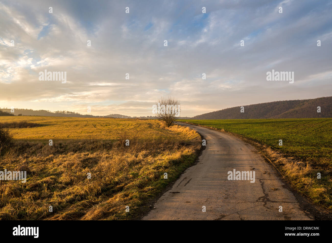 Cracked concrete road hi-res stock photography and images - Alamy