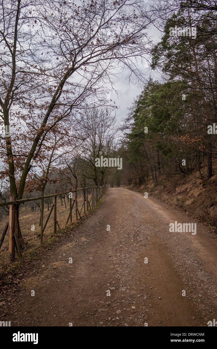 Worn path hi-res stock photography and images - Alamy