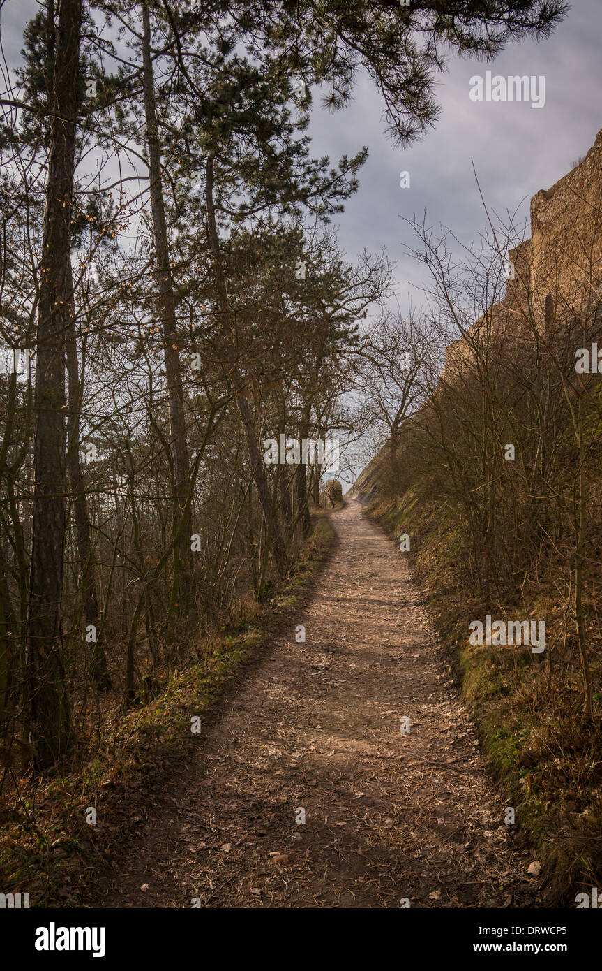 A worn path leading through some woods next to an old ruin Stock Photo ...
