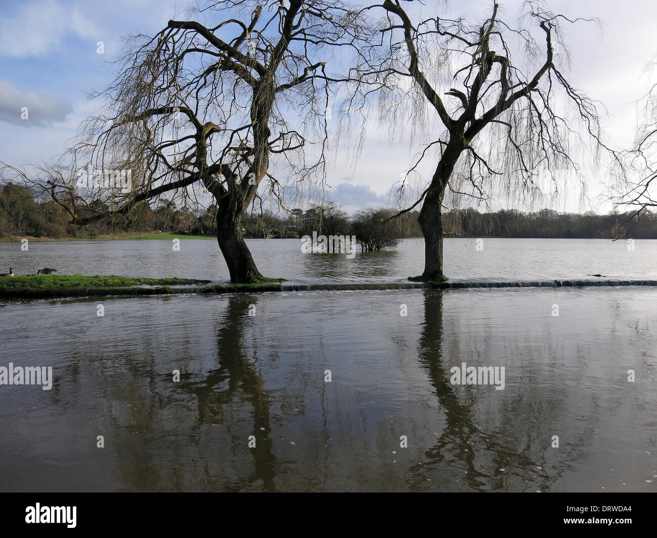 Guildford floods hi-res stock photography and images - Alamy