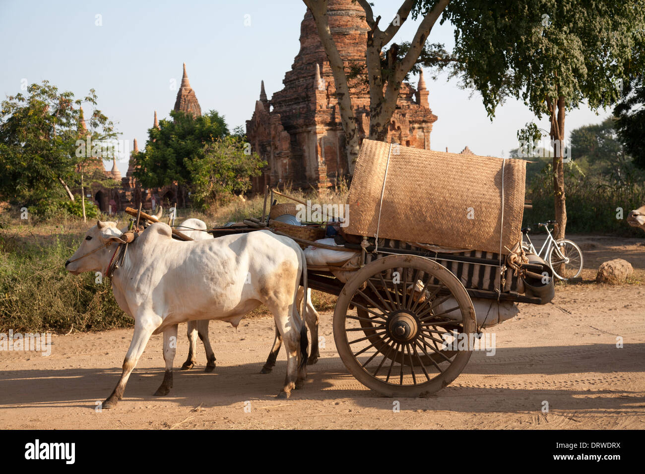 Oxes carts hi-res stock photography and images - Alamy