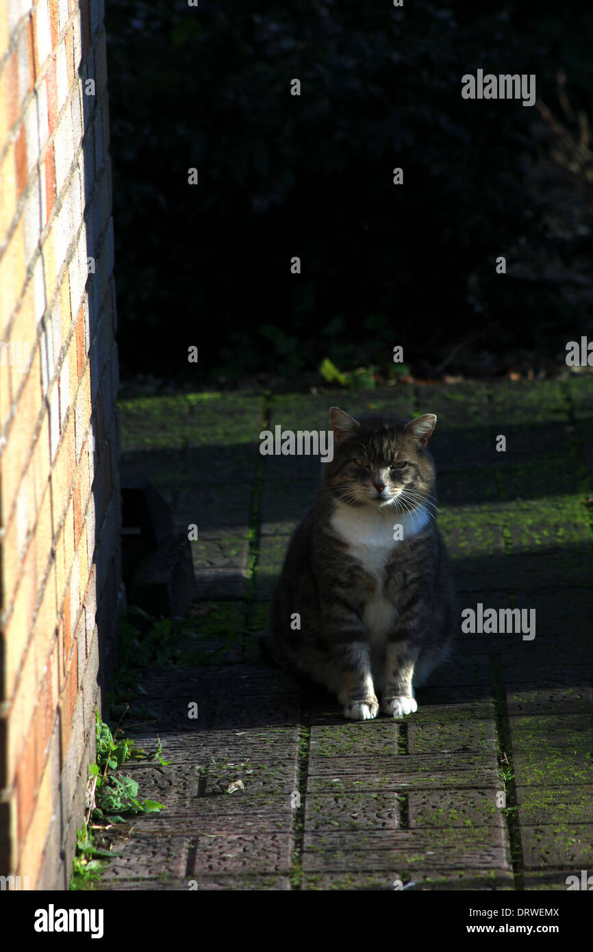 Waiting impatient hi-res stock photography and images - Alamy
